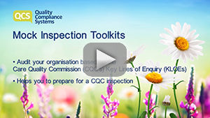 Mock Inspection Toolkits | QCS