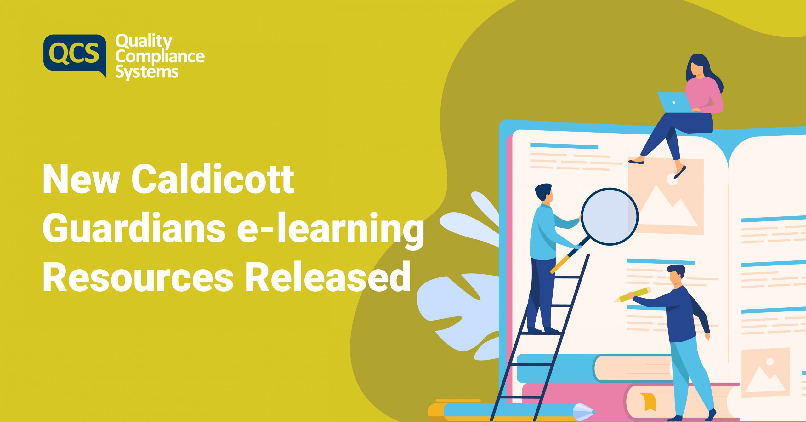 New Caldicott Guardians eLearning resources released - Adult Social ...